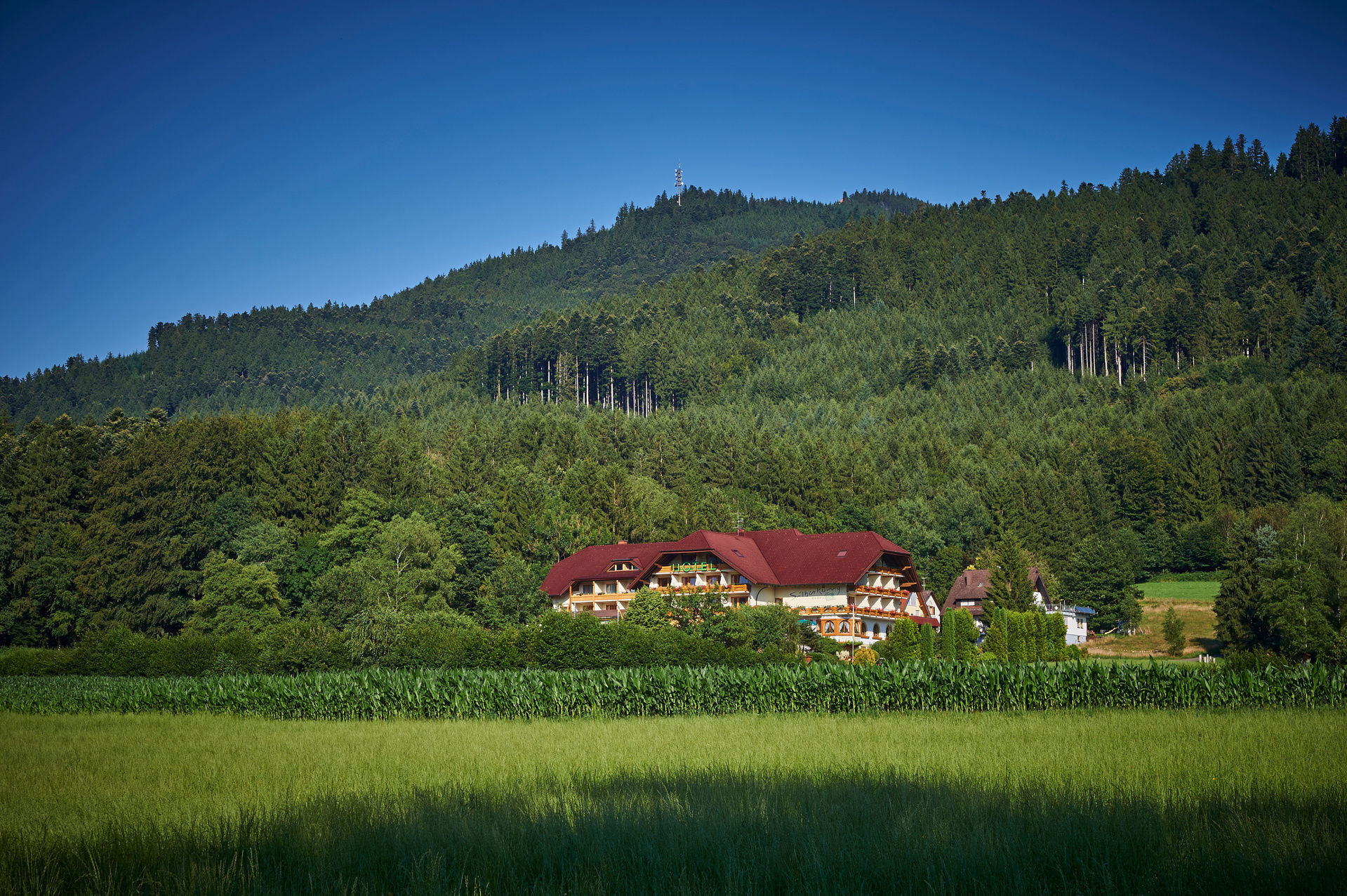 Willkommen im Silberkönig - das Schwarzwald 4-Sterne-Hotel liegt in ...